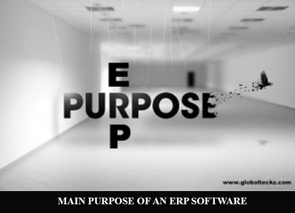 Main Purpose of ERP Software | Why organization implement systems