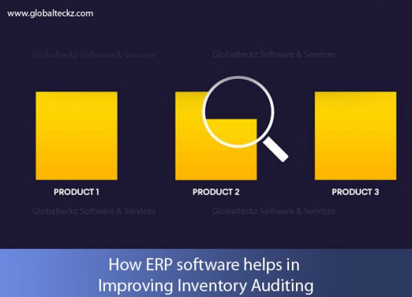 Inventory Auditing in ERP software | Objectives | Checklists
